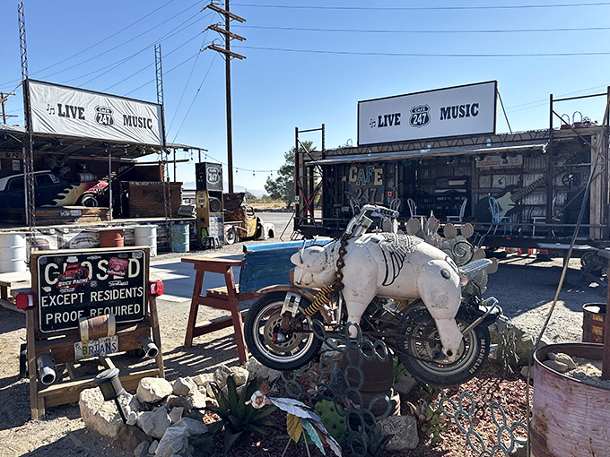 Desert oasis meets roadside charm at Cafe 247, where checkered flags and quirky decor welcome weary travelers seeking refuge from hunger and highway monotony.
