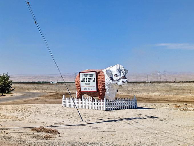 Towering proudly over Highway 58 in Buttonwillow, this brown-and-white giant has been turning heads and stopping traffic for decades.