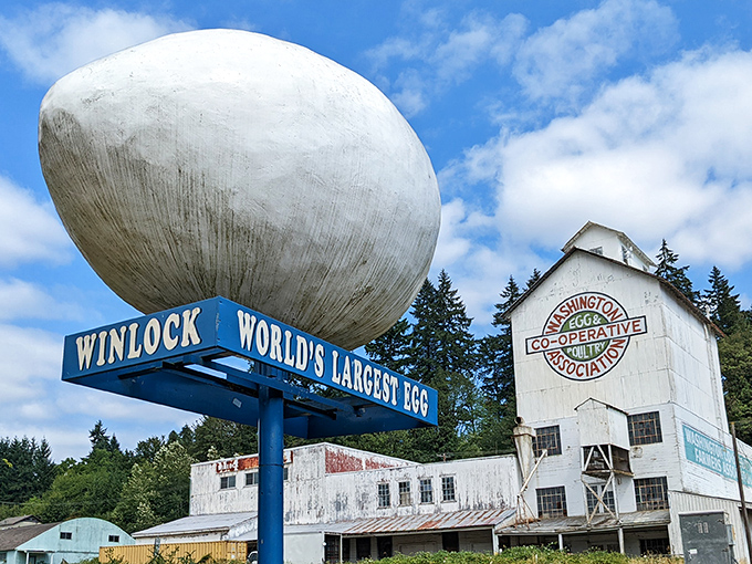 The star of the show! Winlock's 12-foot-tall egg monument gleams white against the blue Washington sky, with the historic co-op building standing proudly behind it.