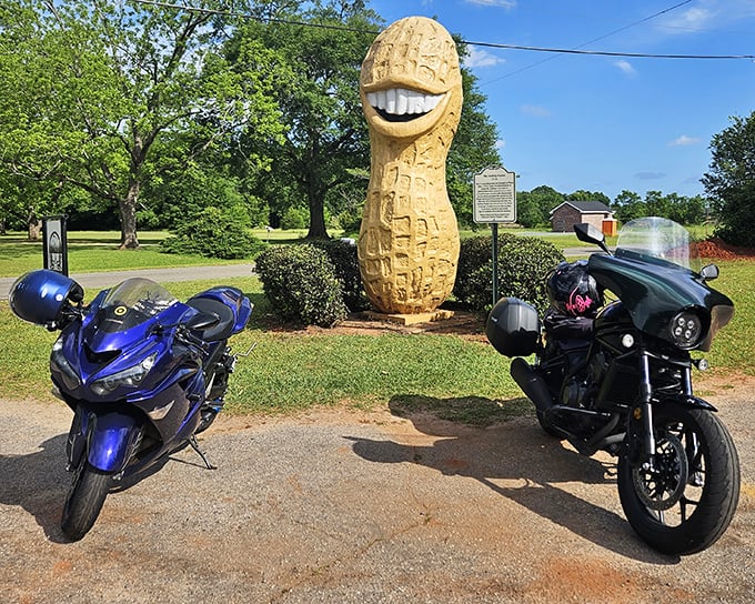 Two motorcycles pay homage to Georgia's grinning goober, proving even bikers can't resist that infectious smile.