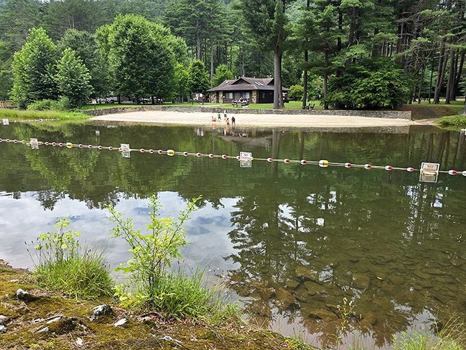 Shaded camping sites nestled among towering trees&mdash;where your biggest decision is which hammock spot to claim first.
