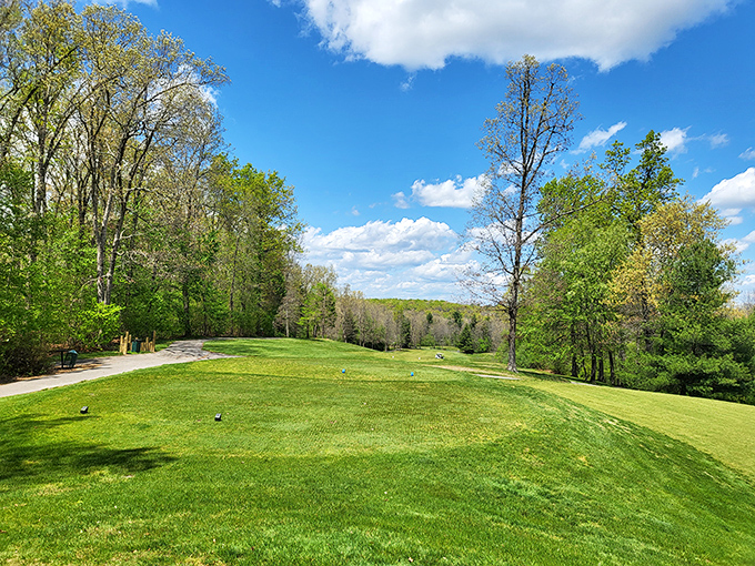 The Bear Trace Golf Course unfurls like a green carpet against Tennessee's blue sky, where even terrible golfers find solace in spectacular views.