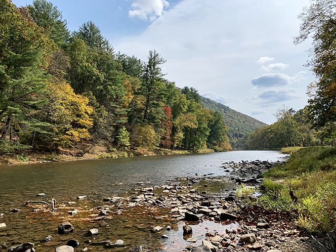 Fall's paintbrush transforms Sinnemahoning's shoreline into nature's gallery, where every tree competes for "Best Dressed" in the seasonal fashion show.
