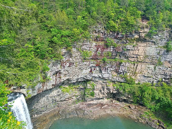 Nature's masterpiece on full display &ndash; Fall Creek Falls plunges 256 feet into an emerald pool, creating a scene that makes smartphone cameras seem woefully inadequate.