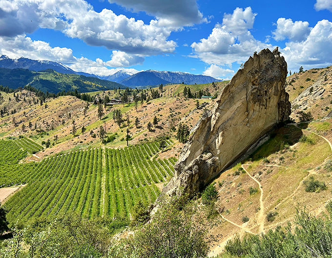 Nature's skyscraper stands sentinel over emerald vineyards, proving Washington doesn't need Seattle's Space Needle to reach for the sky.
