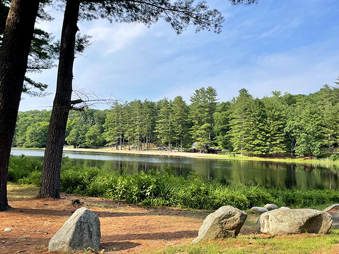 Mirror-like waters reflect towering pines, creating nature's perfect selfie without the phone. Connecticut's version of zen happens here daily.