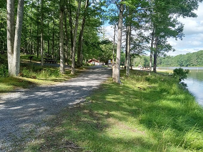 A tree-lined path beckons visitors along Poe Lake's edge, where dappled sunlight plays hide-and-seek with shadows. Nature's red carpet treatment without the velvet ropes.