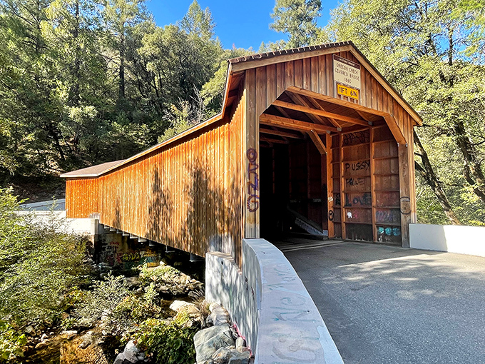 The golden-hour glow makes this entrance look like something straight out of a Norman Rockwell painting, only better.