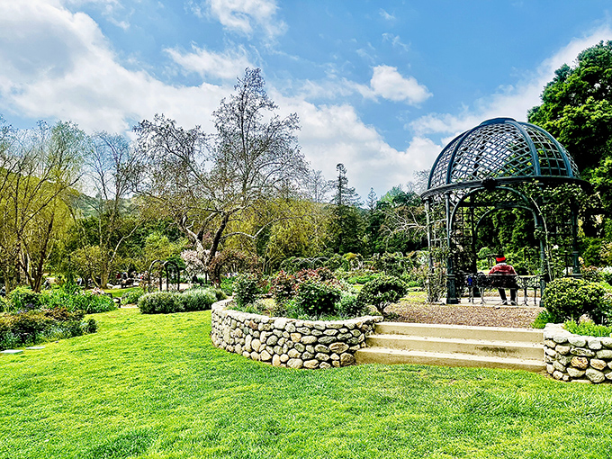 Spring at Descanso Gardens looks like someone asked a rainbow to explode in the most delightful way possible.