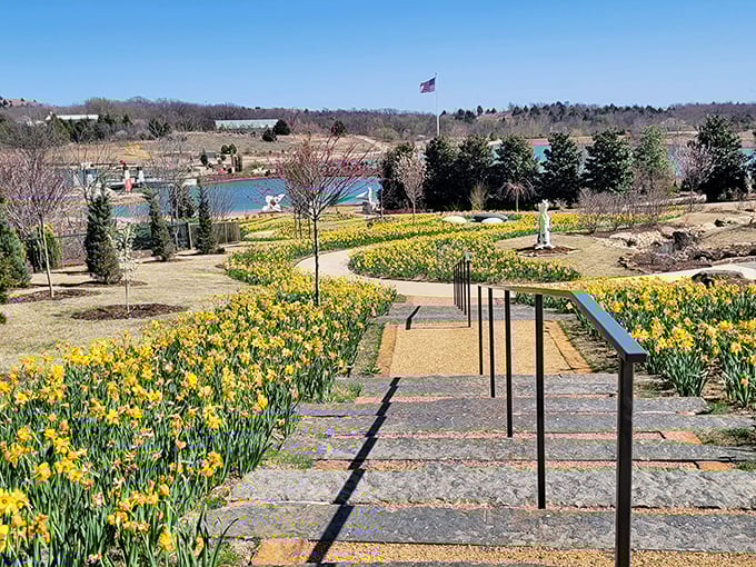 Winding pathways flanked by golden daffodils lead visitors through a landscape that feels like walking through a watercolor painting come to life.