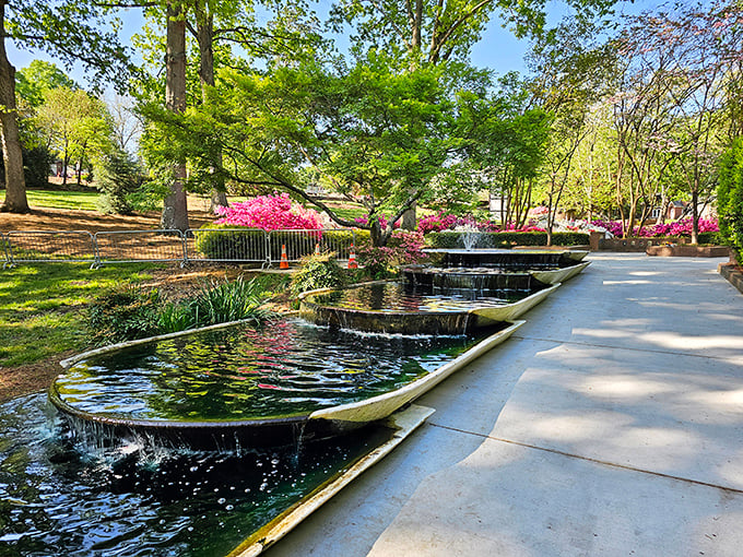 Tiered water features that make expensive sound machines obsolete. Nature's own stress-relief system flowing right through Rock Hill's hidden gem.