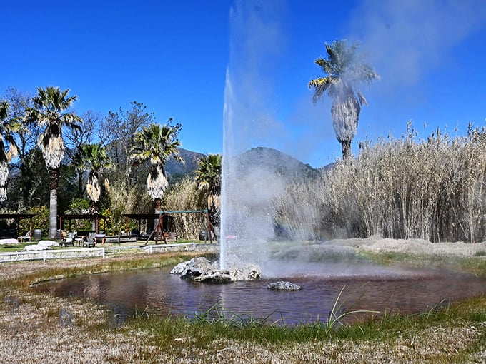 The property's thoughtful landscaping creates perfect viewing spots for nature's show, with mountains providing a cinematic backdrop.