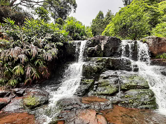 Nature's own multi-tiered spa treatment. These cascading falls in Kokeʻe turn an ordinary hike into a "did you see that?" moment worth the climb.