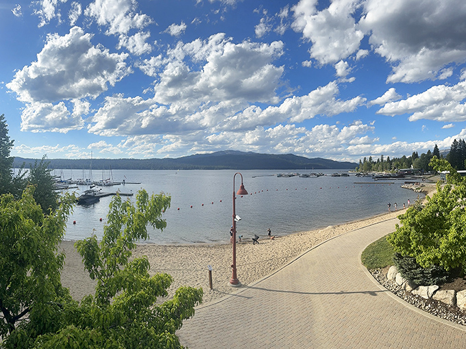 Nothing says "perfect picnic spot" quite like towering pines, emerald lawns, and water views that'll ruin regular parks forever.
