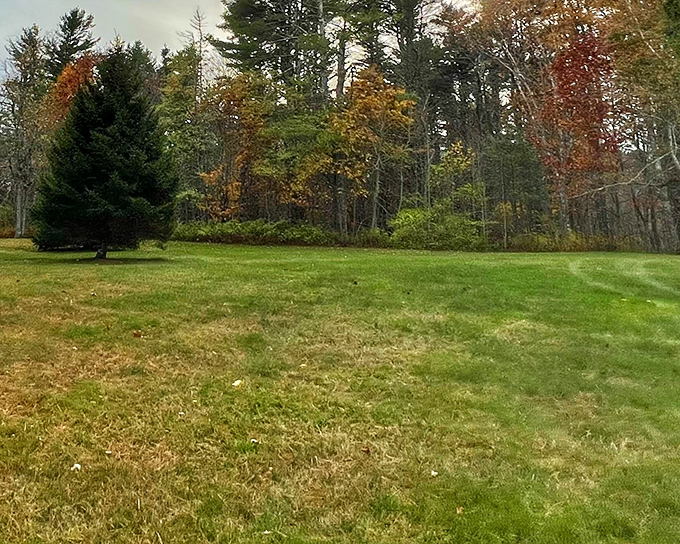 That lawn is so perfectly green, it makes golf courses jealous &ndash; and the view comes free with your picnic.