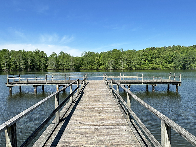 That wooden pier stretching into Spring Lake isn't just Instagram bait&mdash;it's nature's invitation to slow down and breathe deeply. Mississippi serenity at its finest.