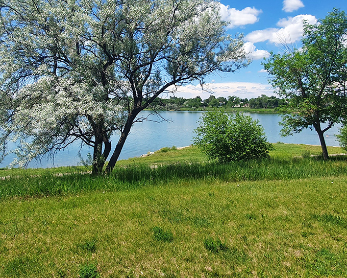 Mother Nature’s living room in Billings – framed by blue waters and cottonwood accents. Montana’s backyard paradise awaits.