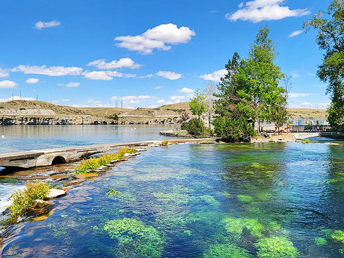 Nature's infinity pool! The crystalline waters of Giant Springs flow into the distance under Montana's impossibly blue sky, creating a scene that belongs on a postcard.