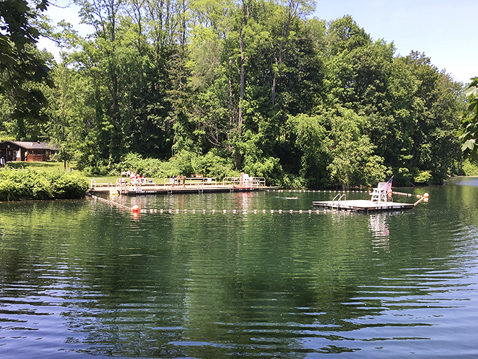 Nature's swimming pool awaits! The designated swimming area at Taconic State Park offers the perfect respite from summer heat, complete with lifeguard supervision.