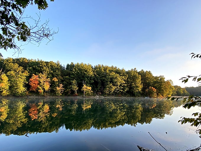 Mirror, mirror on the lake &ndash; Wolf Run's perfect reflections make even amateur photographers look like they know what they're doing. Nature showing off in high definition.