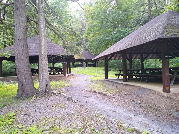 Rustic picnic pavilions nestled among towering trees&mdash;nature's dining room where even squirrels might envy your sandwich spot.