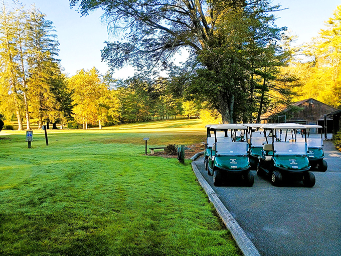 Golf carts parked at the edge of autumn's golden canvas&mdash;nature's version of valet parking for those who prefer their hikes with training wheels.