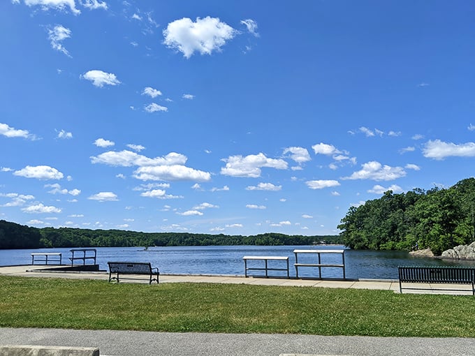 Benches with a view like this make you wonder why anyone bothers with expensive therapy. Nature's counseling session is always in session.