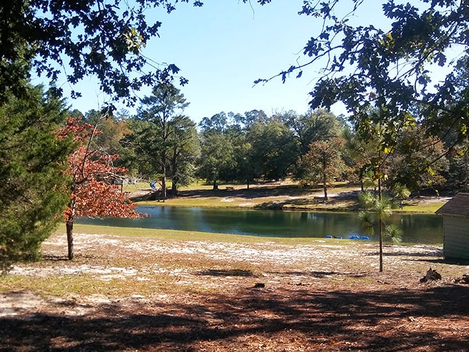 Nature's perfect mirror: the serene lake at Aiken State Park reflects the sky so perfectly you might forget which way is up.