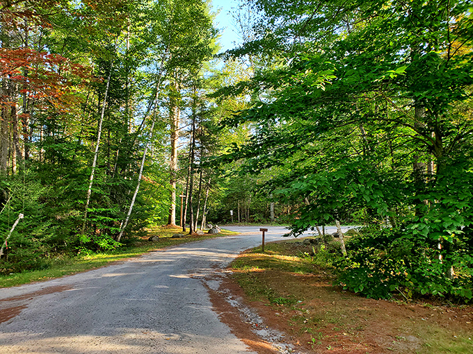 Nature's welcome mat unfurls along this winding road, where stress dissolves faster than an aspirin in hot tea. Vermont's green therapy session begins here.