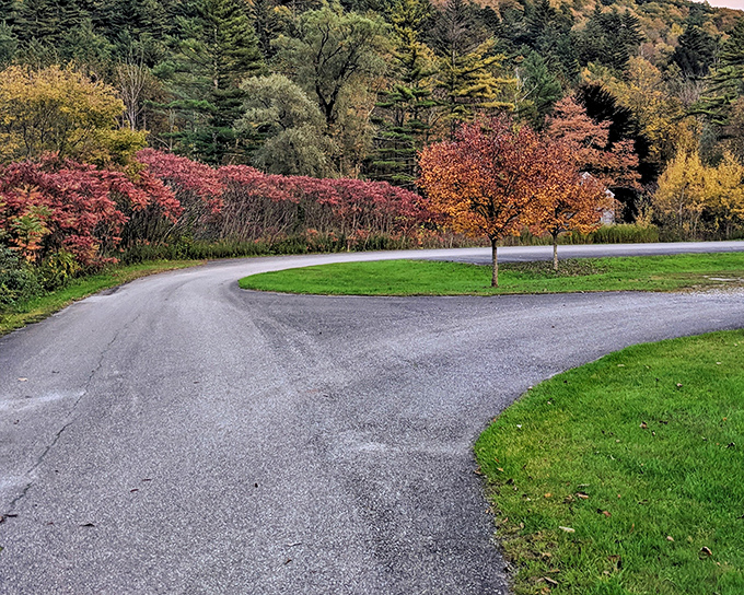 Fall's grand finale puts on a show along Emerald Lake's winding entrance road. Nature's own red carpet welcomes you to Vermont's hidden gem.