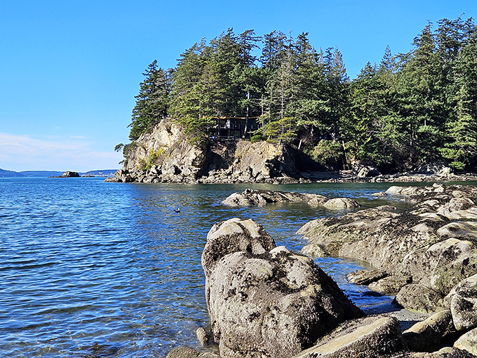 Where land meets sea in perfect harmony. Larrabee's rocky shoreline and towering evergreens create nature's version of a five-star resort.