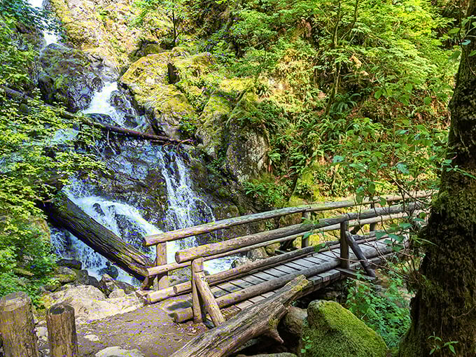 This rustic bridge crossing leads to Hardy Falls, where cascading water meets moss-covered rocks in perfect Pacific Northwest harmony.
