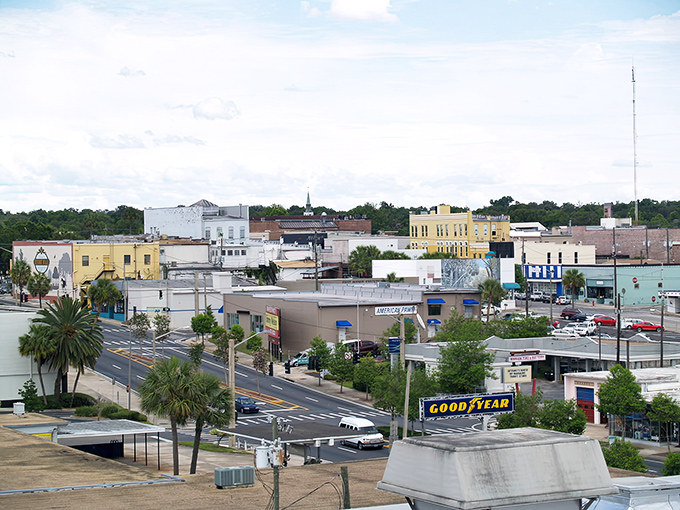 Downtown Ocala stretches before you like a small-town postcard come to life, where palm trees and historic buildings create Florida charm without the coastal price tag.