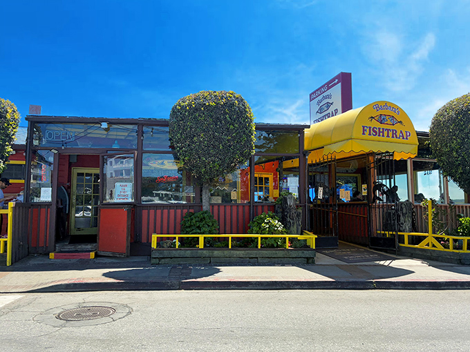 That jumping fish sculpture knows what's waiting inside &ndash; the kind of seafood that makes architectural statements seem totally reasonable.