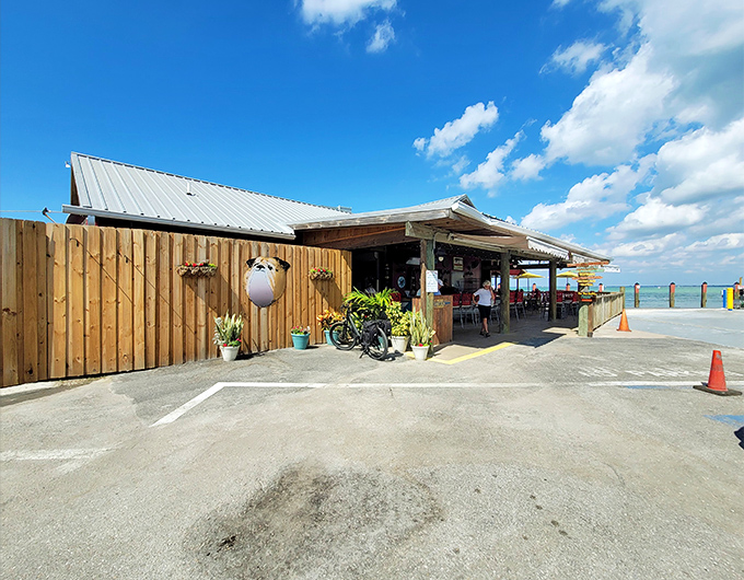 The rustic wooden exterior of The Old Salty Dog beckons like an old friend, promising seafood treasures with that million-dollar waterfront view.