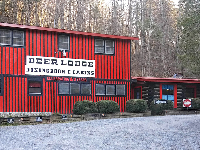 The unmistakable red-and-black striped exterior of Deer Lodge stands out like a lumberjack's dream home in the North Georgia wilderness.