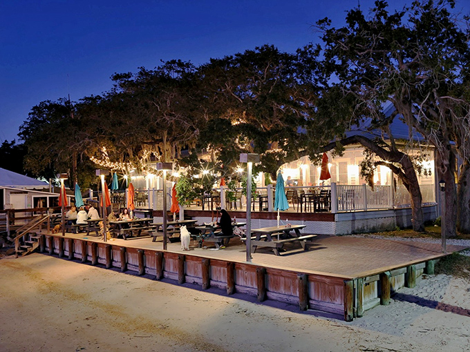 When the sun goes down, the magic turns up. Aunt Kate's transforms into a twinkling waterfront oasis where seafood tastes even better under string lights.