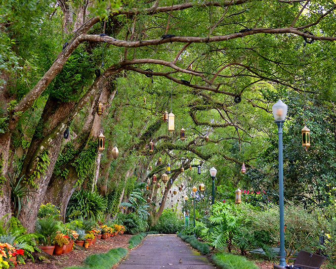 Nature's cathedral awaits as lanterns dangle from ancient oaks, creating a pathway that whispers "follow me into wonderland."