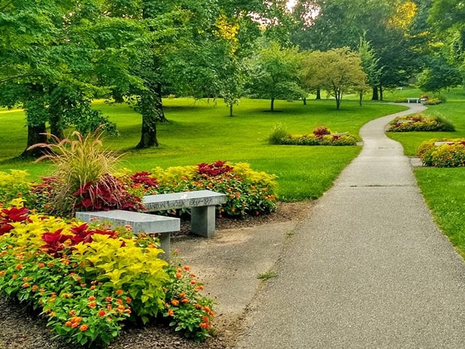 Winding paths invite wanderers to lose themselves in nature's embrace, where every turn promises a new discovery.