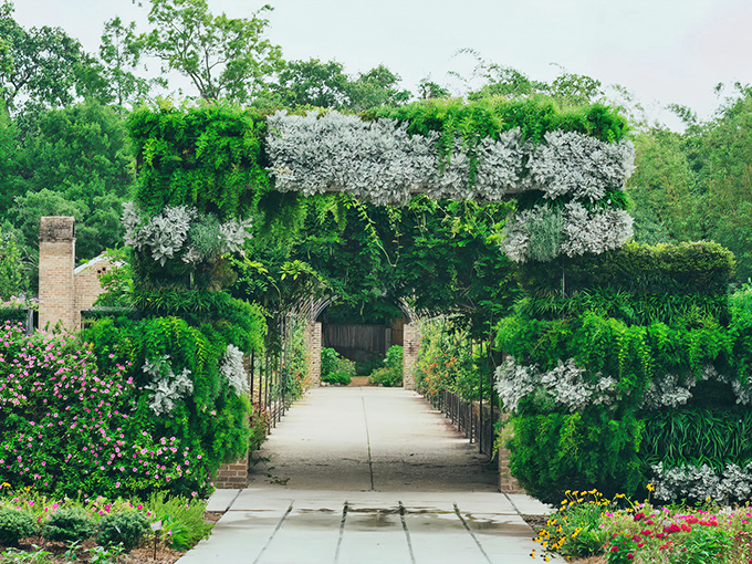 New Orleans Botanical Garden is lined with flowers and greenery, with soft sunlight filtering through the leaves and inviting you to wander.
