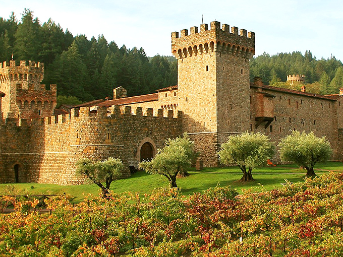 The honey-colored stone walls of Castello di Amorosa rise from the vineyards like a medieval mirage in wine country.