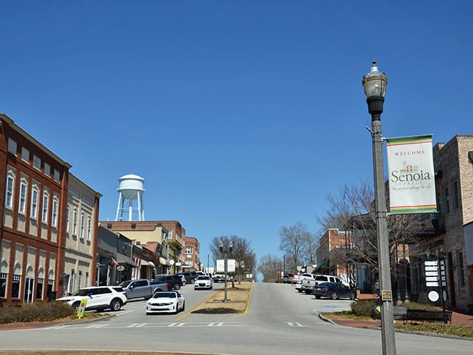 Welcome banners and vintage lampposts line Senoia's downtown, where the only thing more charming than the architecture is the complete absence of chain stores.