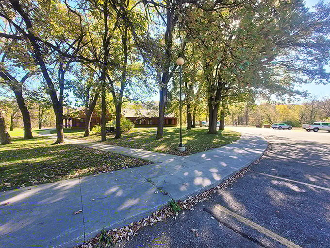 Dappled sunlight filters through golden autumn leaves, turning this park pathway into a scene from a storybook.
