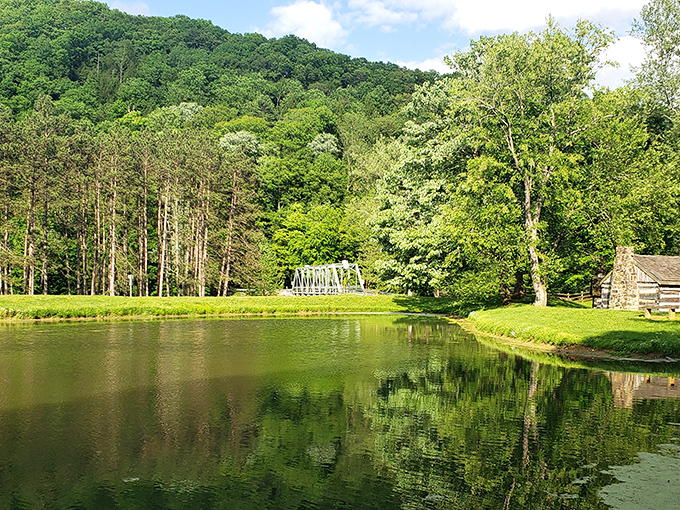 Little Beaver Creek's serene waters mirror the lush forest canopy, offering the perfect escape from digital chaos at Beaver Creek State Park.
