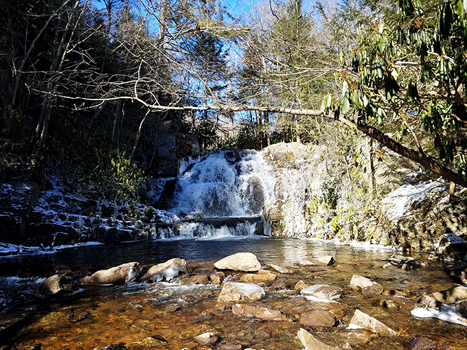 Holy moly, get a look at that! Even with a dusting of snow, the roar of this waterfall in the deep woods is pure, icy-fresh Pennsylvania magic. Definitely worth the trek.