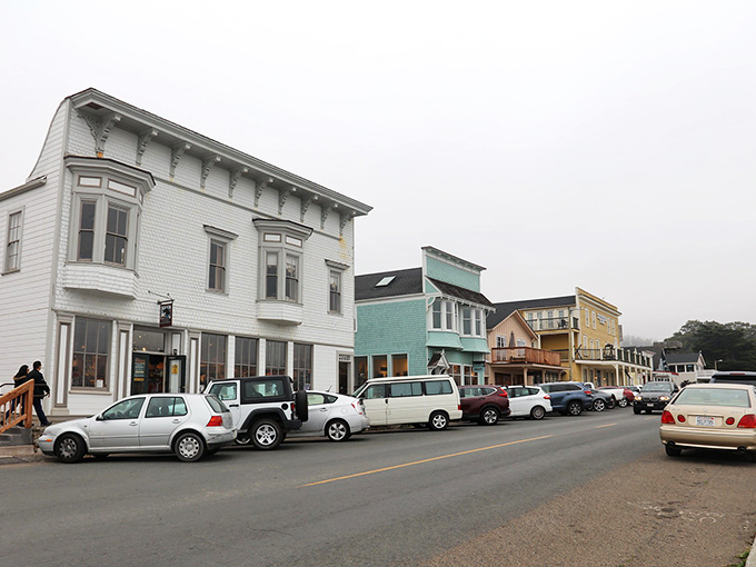Mendocino's Main Street looks like it was plucked straight from a New England postcard and gently placed on California's rugged coastline.