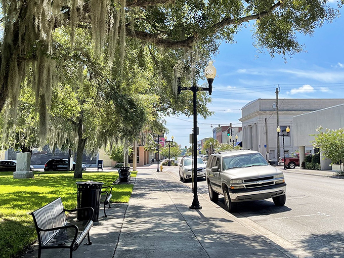 Spanish moss drapes over Palatka's sidewalks like nature's awnings, offering shade and Southern gothic ambiance in equal measure.