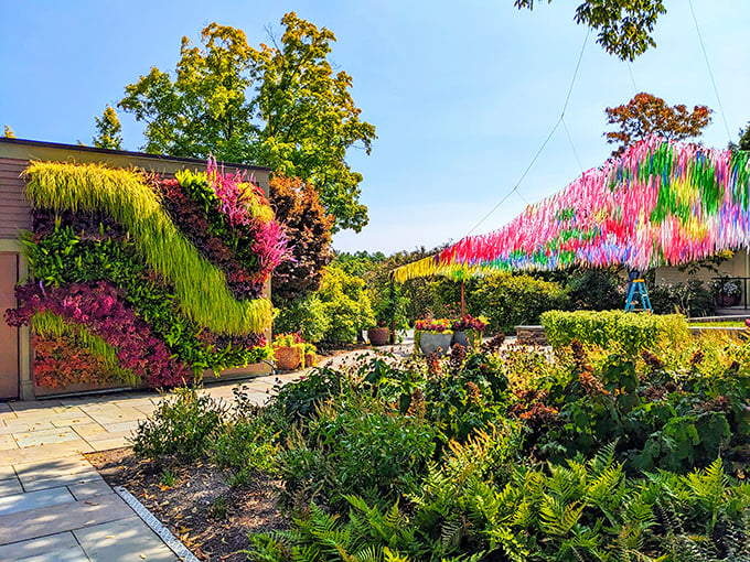 Nature meets art in this vibrant living wall installation. It's like someone gave Mother Nature a box of neon highlighters and said, "Go wild!"