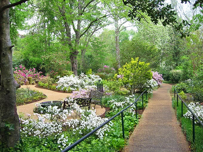 Winding pathways flanked by explosions of azaleas create nature's version of the yellow brick road. This garden corridor practically begs you to get wonderfully lost.
