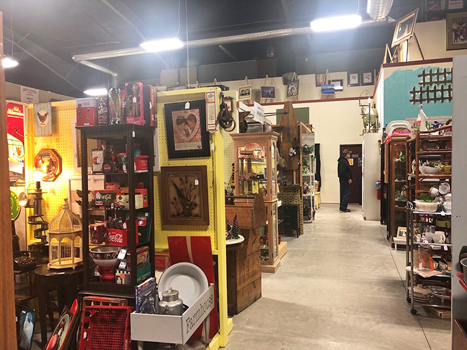 Aisles of wonder await as you step into this treasure hunter's paradise. Every corridor promises discoveries that might just follow you home.